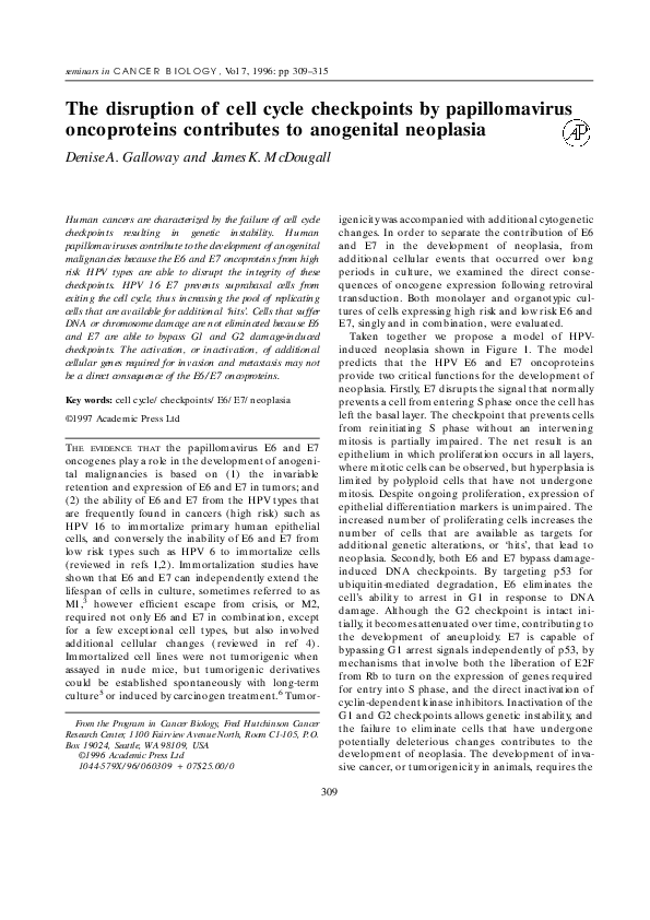 (PDF) The disruption of cell cycle checkpoints by papillomavirus ...