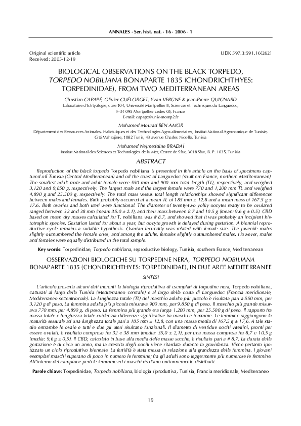 (PDF) Biological observations on the black torpedo, Torpedo nobiliana ...