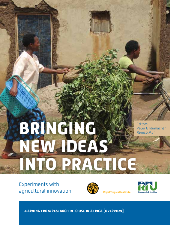 (PDF) Bringing new ideas into practice overview