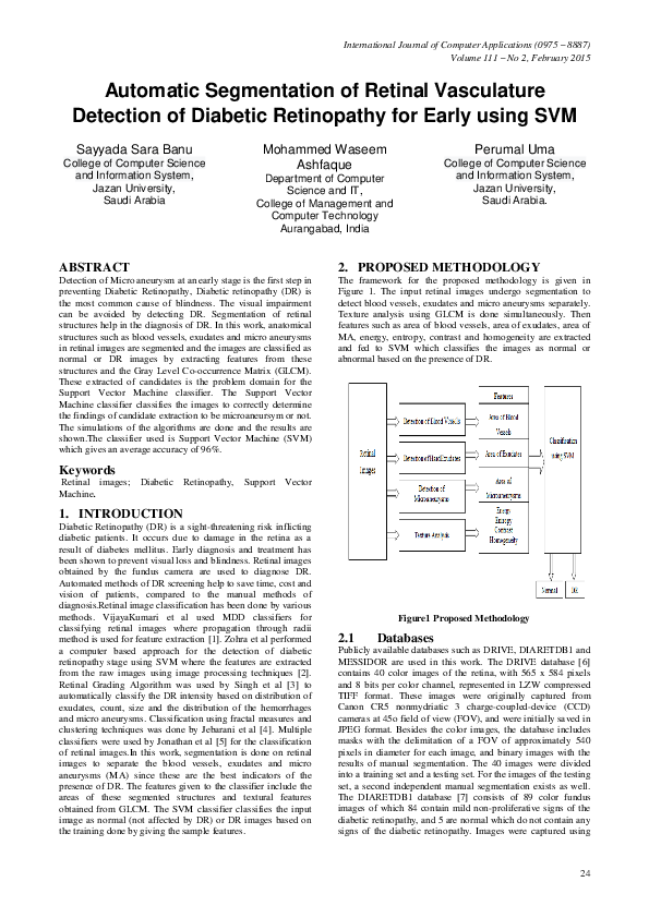 (PDF) Automatic Segmentation of Retinal Vasculature Detection of Diabetic Retinopathy for Early ...