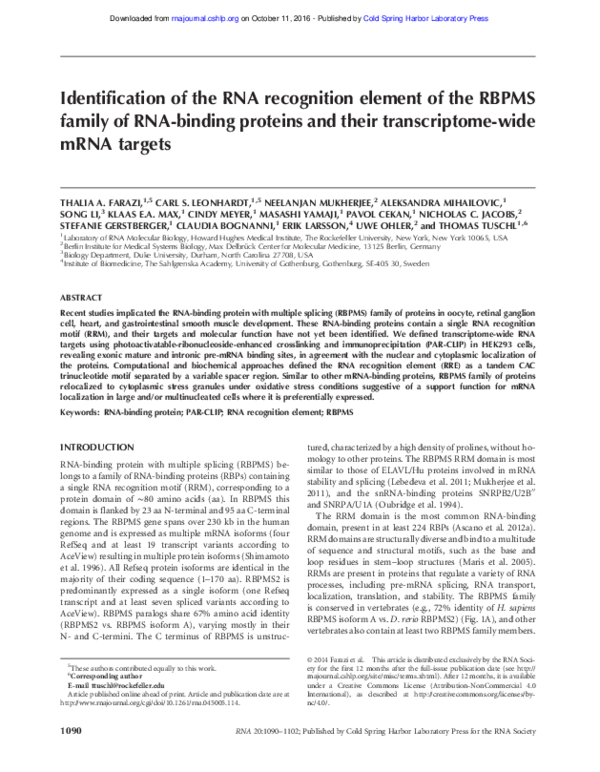 (PDF) Identification of the RNA recognition element of the RBPMS family of RNA-binding proteins ...