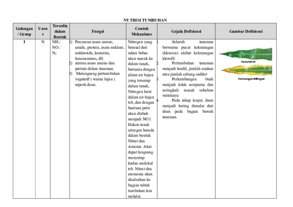 Nutrisi Tumbuhan Dalchaebi