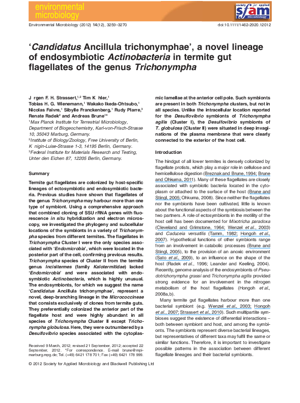 (PDF) ‘ Candidatus Ancillula trichonymphae’, a novel lineage of ...