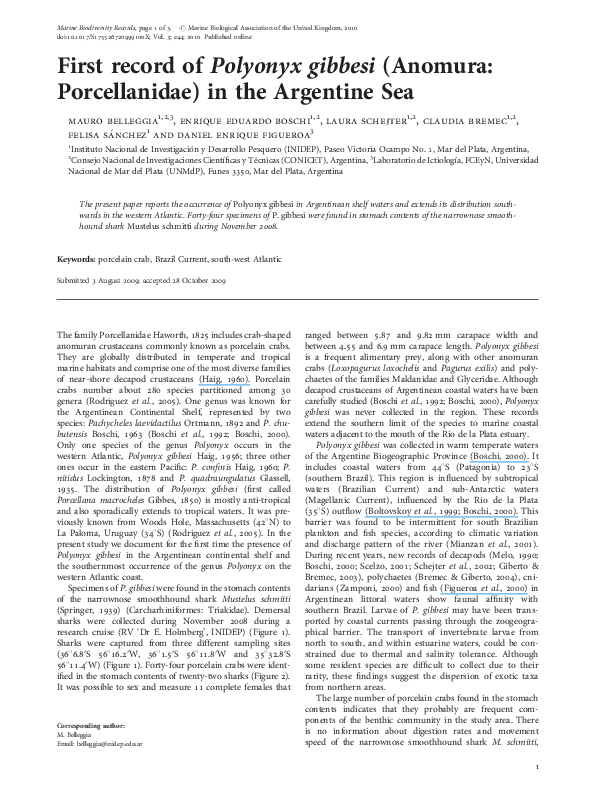 (PDF) First record of Polyonyx gibbesi (Anomura: Porcellanidae) in the ...
