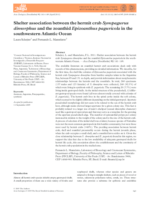 (PDF) Shelter association between the hermit crab Sympagurus dimorphus ...