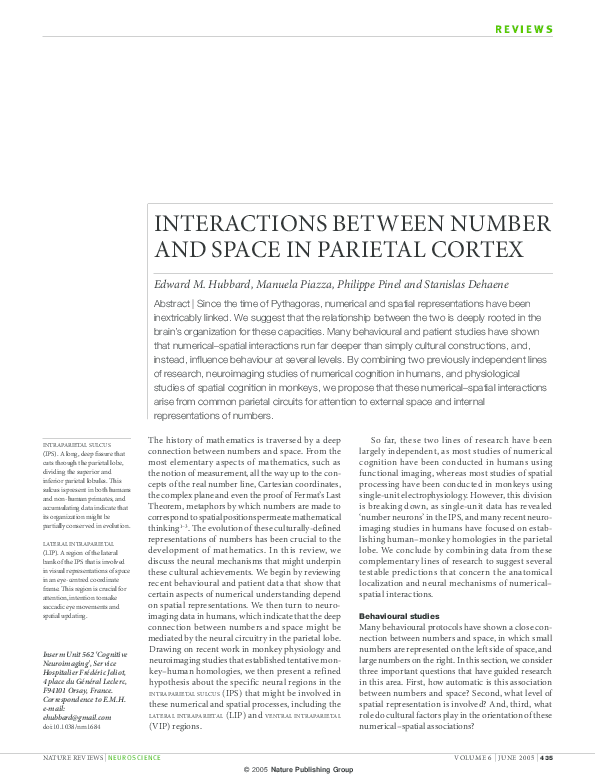 (PDF) Interactions between number and space in parietal cortex