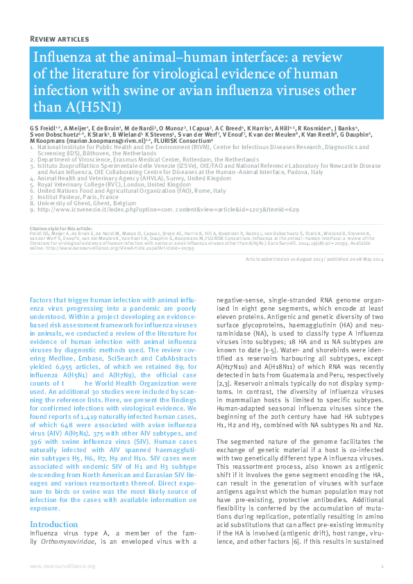 (PDF) Influenza at the animal–human interface: a review of the ...