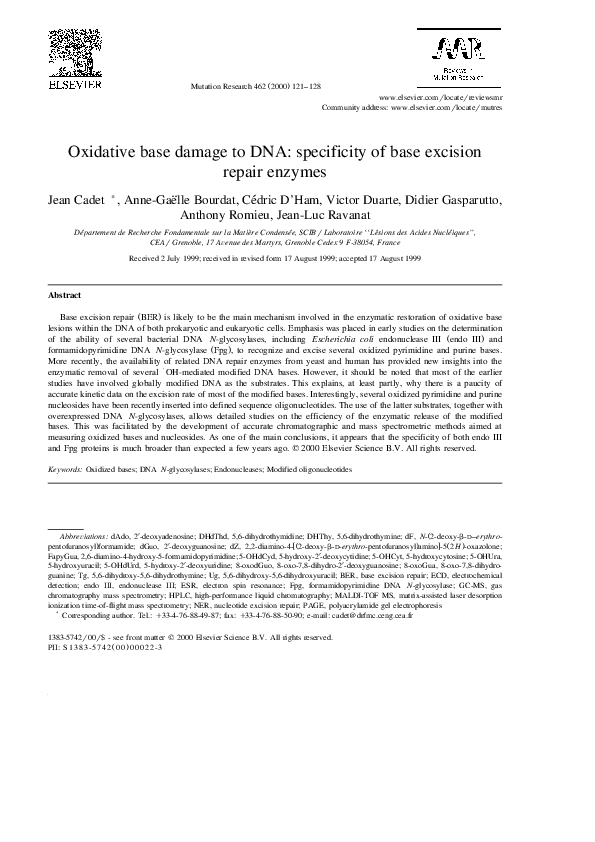 (PDF) Oxidative base damage to DNA: specificity of base excision repair ...