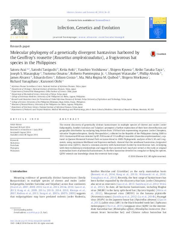 (PDF) Molecular phylogeny of a genetically divergent hantavirus ...