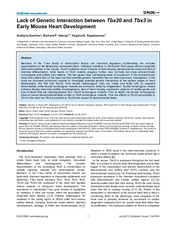 (PDF) Lack of genetic interaction between Tbx20 and Tbx3 in early mouse ...
