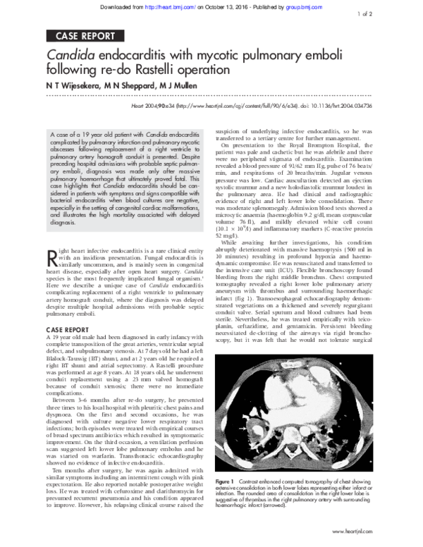 (PDF) Candida endocarditis with mycotic pulmonary emboli following re ...