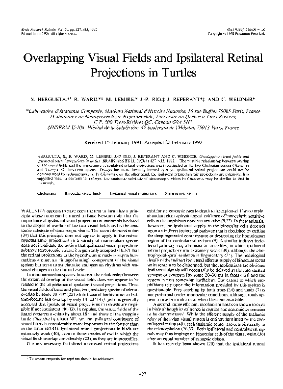 (PDF) Overlapping visual fields and ipsilateral retinal projections in ...