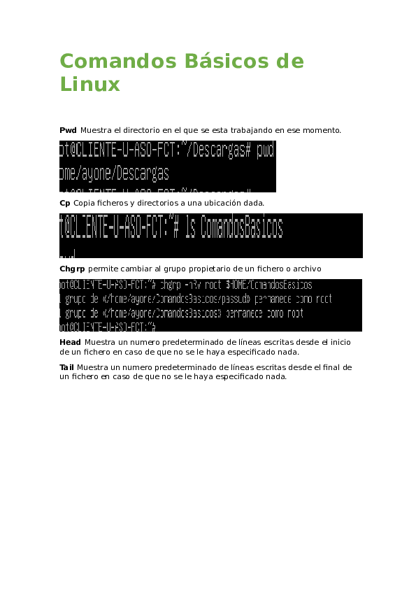 (DOC) Comandos Básicos de Linux | Felipe Costa - Academia.edu