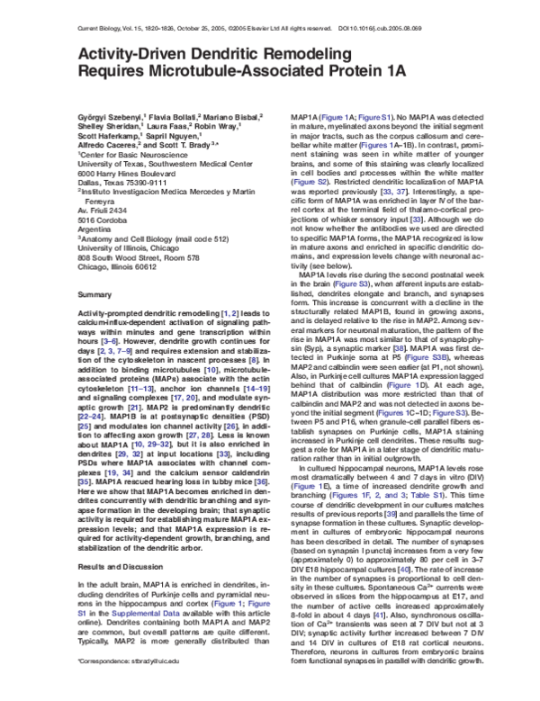 (PDF) Activity-Driven Dendritic Remodeling Requires Microtubule ...