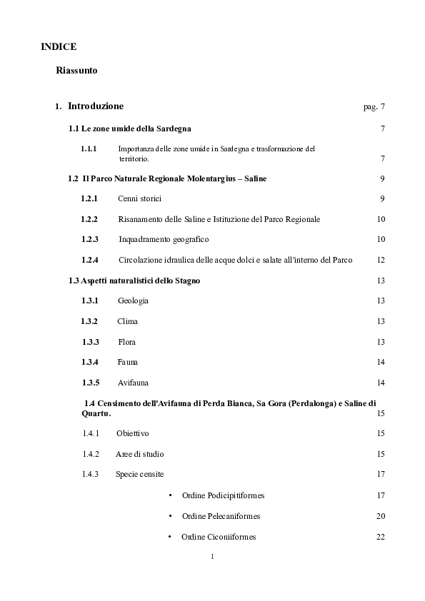 (PDF) INDICE Riassunto