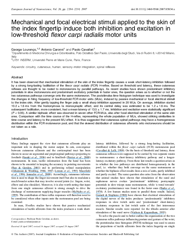 (PDF) Mechanical and focal electrical stimuli applied to the skin of ...