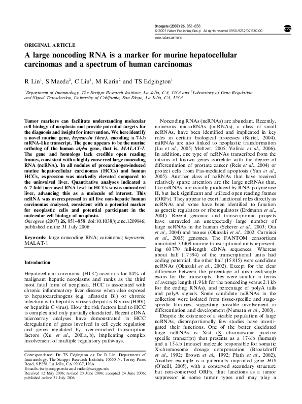 (PDF) A large noncoding RNA is a marker for murine hepatocellular ...