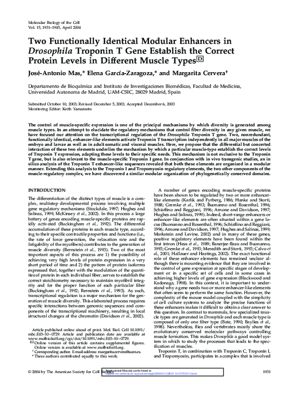 (PDF) Two functionally identical modular enhancers in Drosophila ...