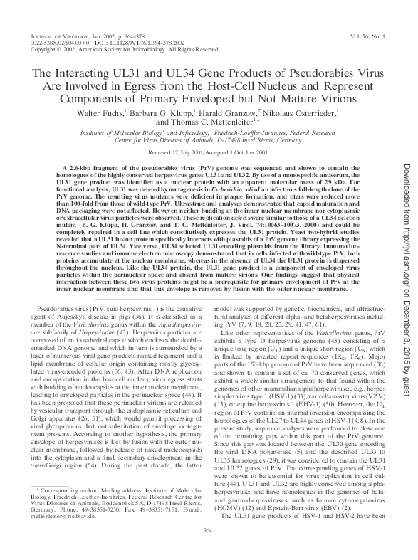 (PDF) The Interacting UL31 and UL34 Gene Products of Pseudorabies Virus ...