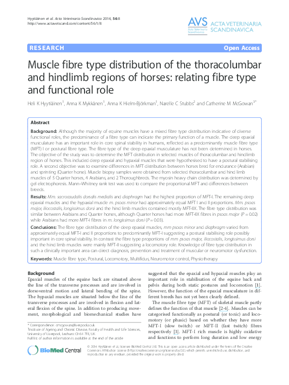 (PDF) Muscle fibre type distribution of the thoracolumbar and hindlimb ...