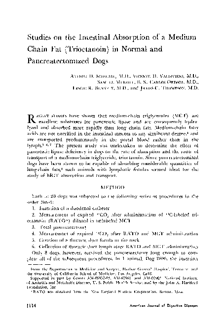 (PDF) Studies on the intestinal absorption of a medium chain fat ...