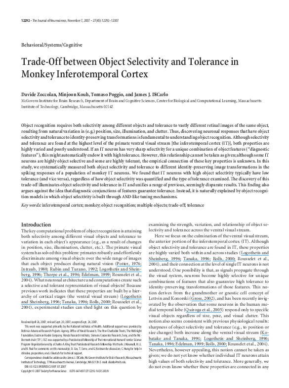 (PDF) Trade-Off between Object Selectivity and Tolerance in Monkey Inferotemporal Cortex