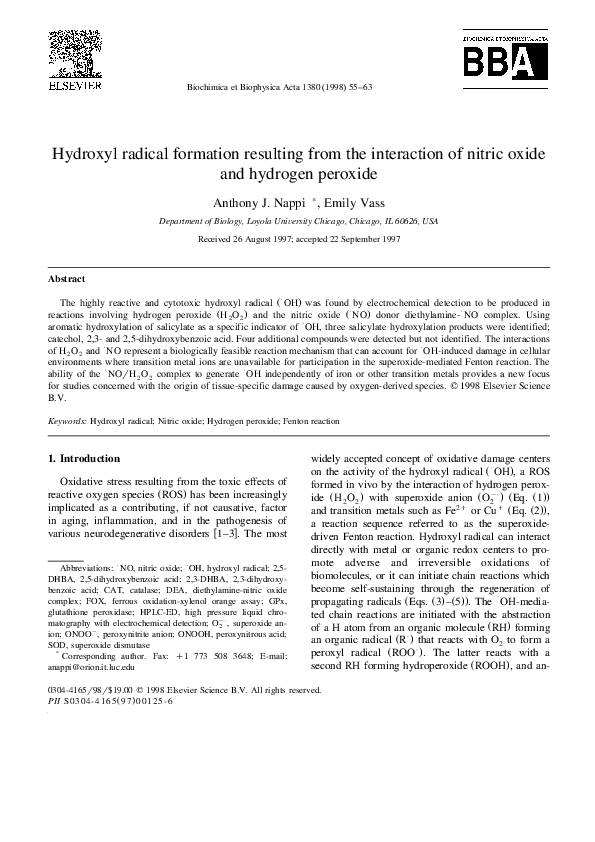 (PDF) Hydroxyl radical formation resulting from the interaction of ...