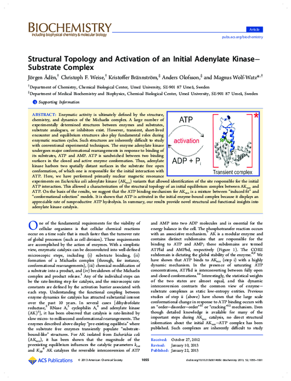 (PDF) Structural Topology and Activation of an Initial Adenylate Kinase ...