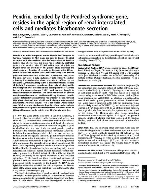 (PDF) Pendrin, encoded by the Pendred syndrome gene, resides in the ...