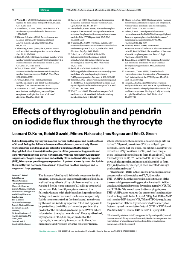 (PDF) Effects of thyroglobulin and pendrin on iodide flux through the ...