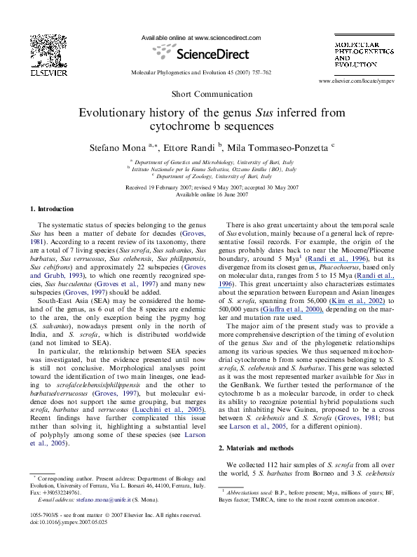 (PDF) Evolutionary genetics of the suiformes as reconstructed using ...