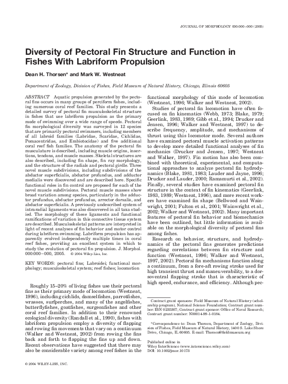 (PDF) Diversity of pectoral fin structure and function in fishes with ...