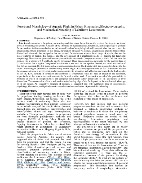 (PDF) Functional Morphology of Aquatic Flight in Fishes: Kinematics ...