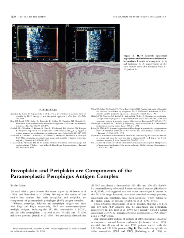 (PDF) Envoplakin and Periplakin are Components of the Paraneoplastic ...