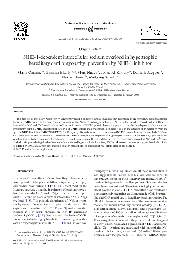 (PDF) NHE-1-dependent intracellular sodium overload in hypertrophic ...