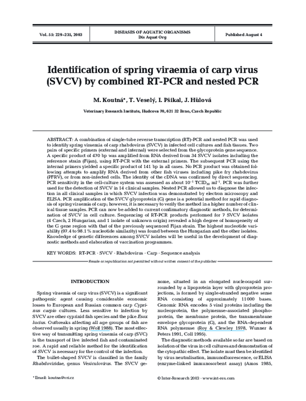 (PDF) Identification of spring viraemia of carp virus (SVCV) by ...