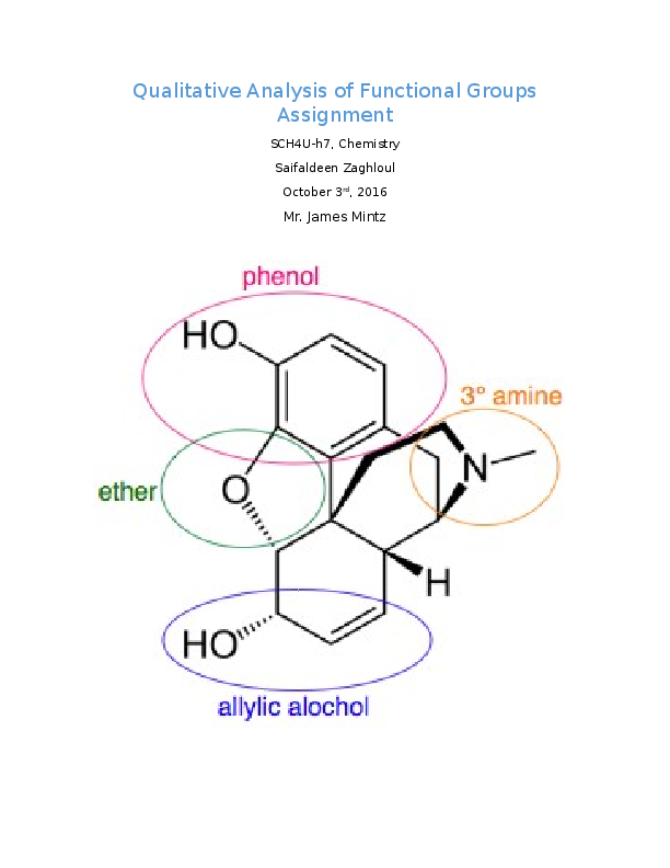 (DOC) Qualitative Analysis of Functional Groups Assignment SCH4U-h7, Chemistry