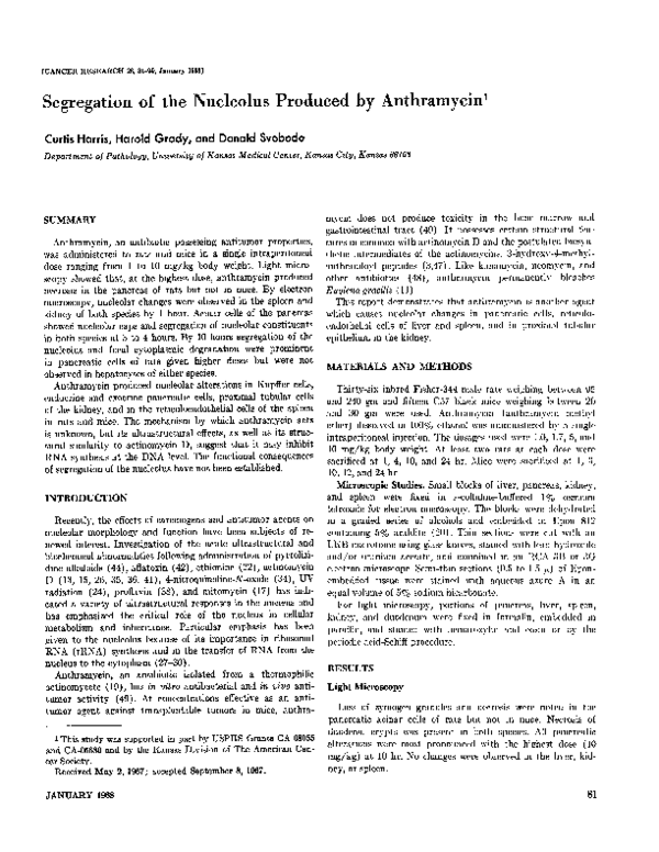 (PDF) Segregation of the nucleolus produced by anthramycin | Harold ...