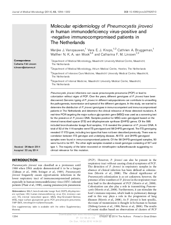(PDF) Molecular epidemiology of Pneumocystis jiroveci in human immunodeficiency virus-positive ...