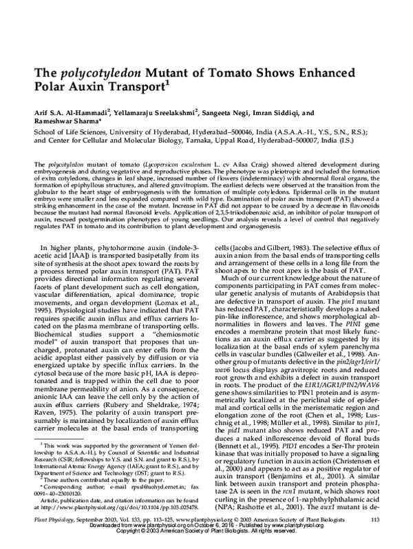 (PDF) The polycotyledon Mutant of Tomato Shows Enhanced Polar Auxin ...