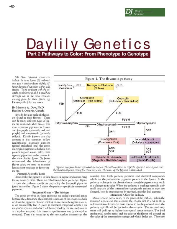 (PDF) Daylily Genetics Part 2 Pathways to Colour From Phenotype to Genotype