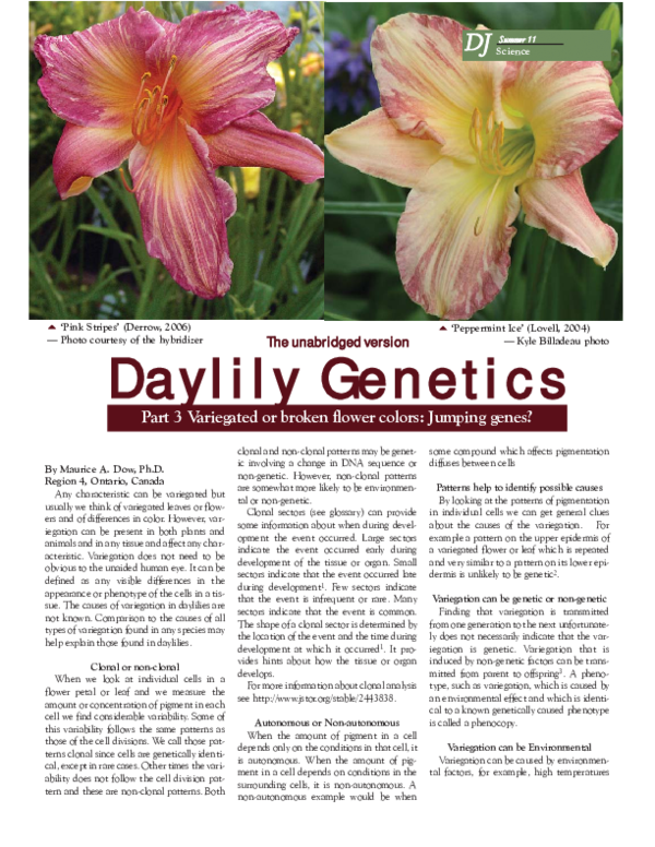 (PDF) daylily genetics part 3 variegated broken flower colours jumping ...