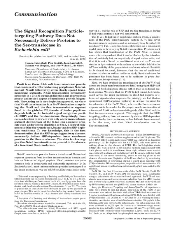 Pdf The Signal Recognition Particle Targeting Pathway Does Not