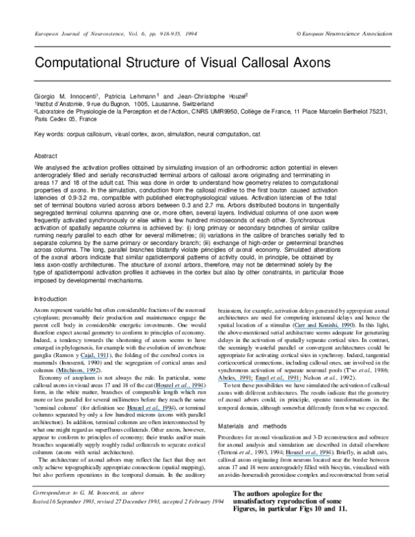 (PDF) Computational Structure of Visual Callosal Axons