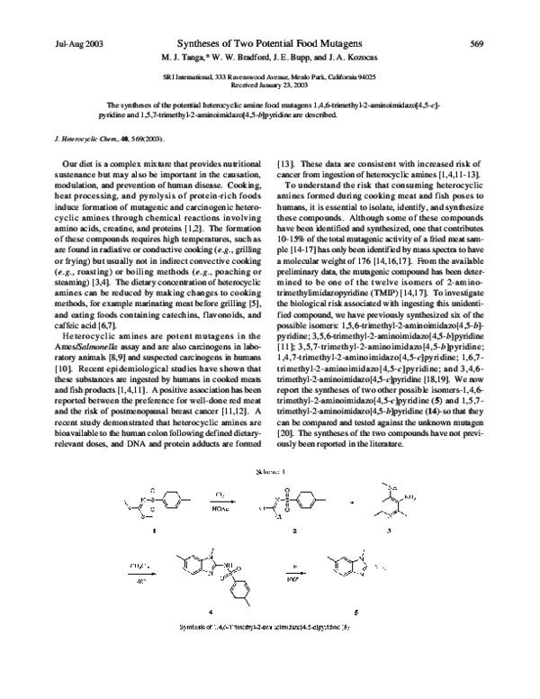 (PDF) Syntheses of two potential food mutagens