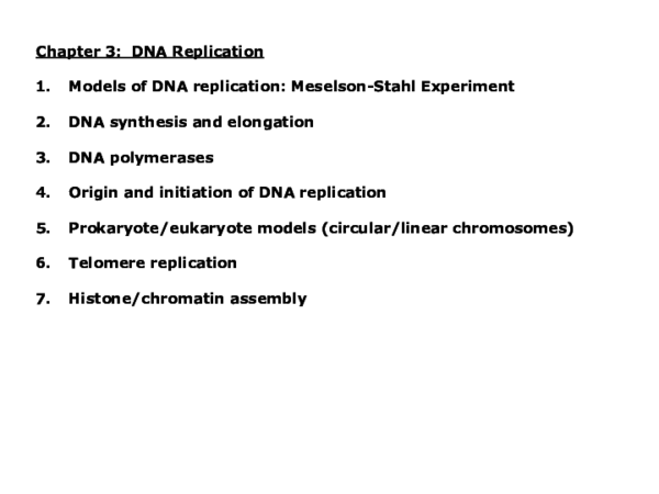 (PPT) DNA Replication (Pro and Eukaryotes) (1) | naveed arshad ...