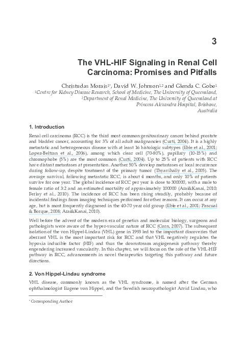 (PDF) The VHL-HIF Signaling in Renal Cell Carcinoma: Promises and Pitfalls