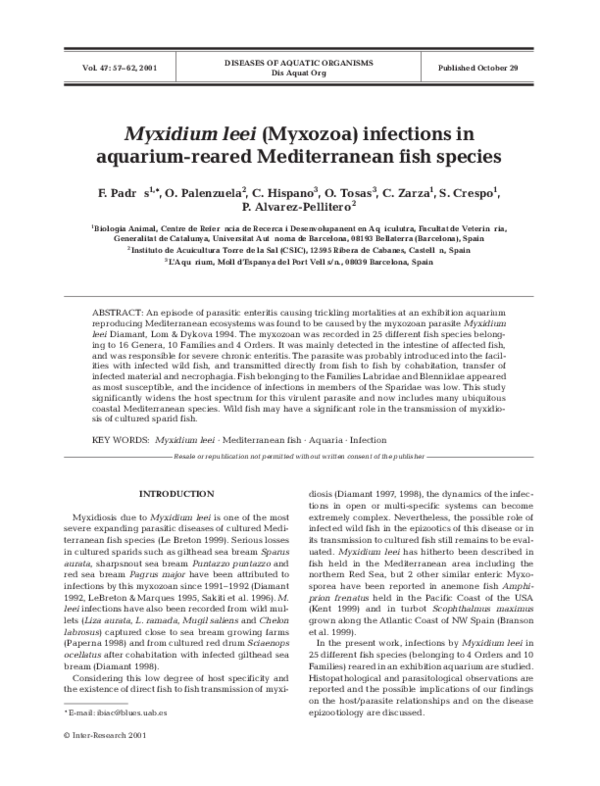 (PDF) Myxidium leei (Myxozoa) infections in aquarium-reared ...
