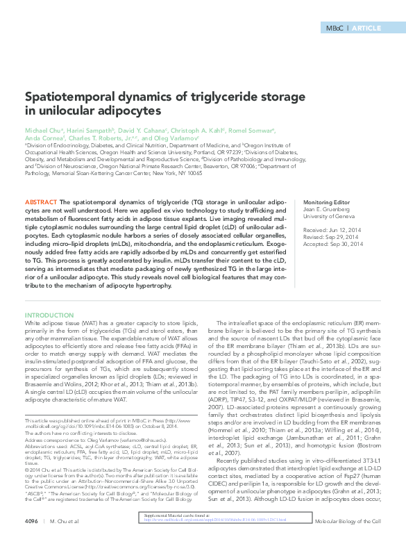 (PDF) Spatiotemporal dynamics of triglyceride storage in unilocular ...