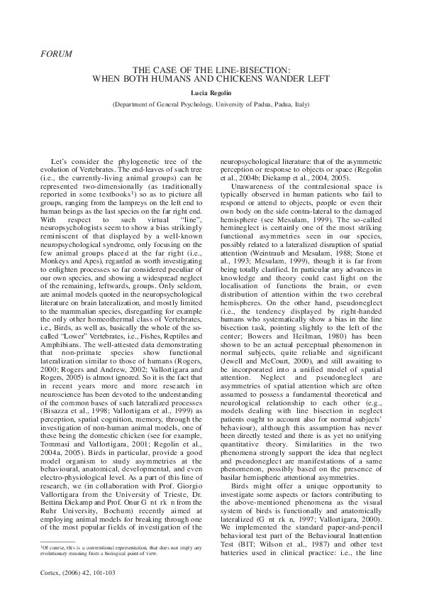 (PDF) The Case of the Line-Bisection: When Both Humans and Chickens ...